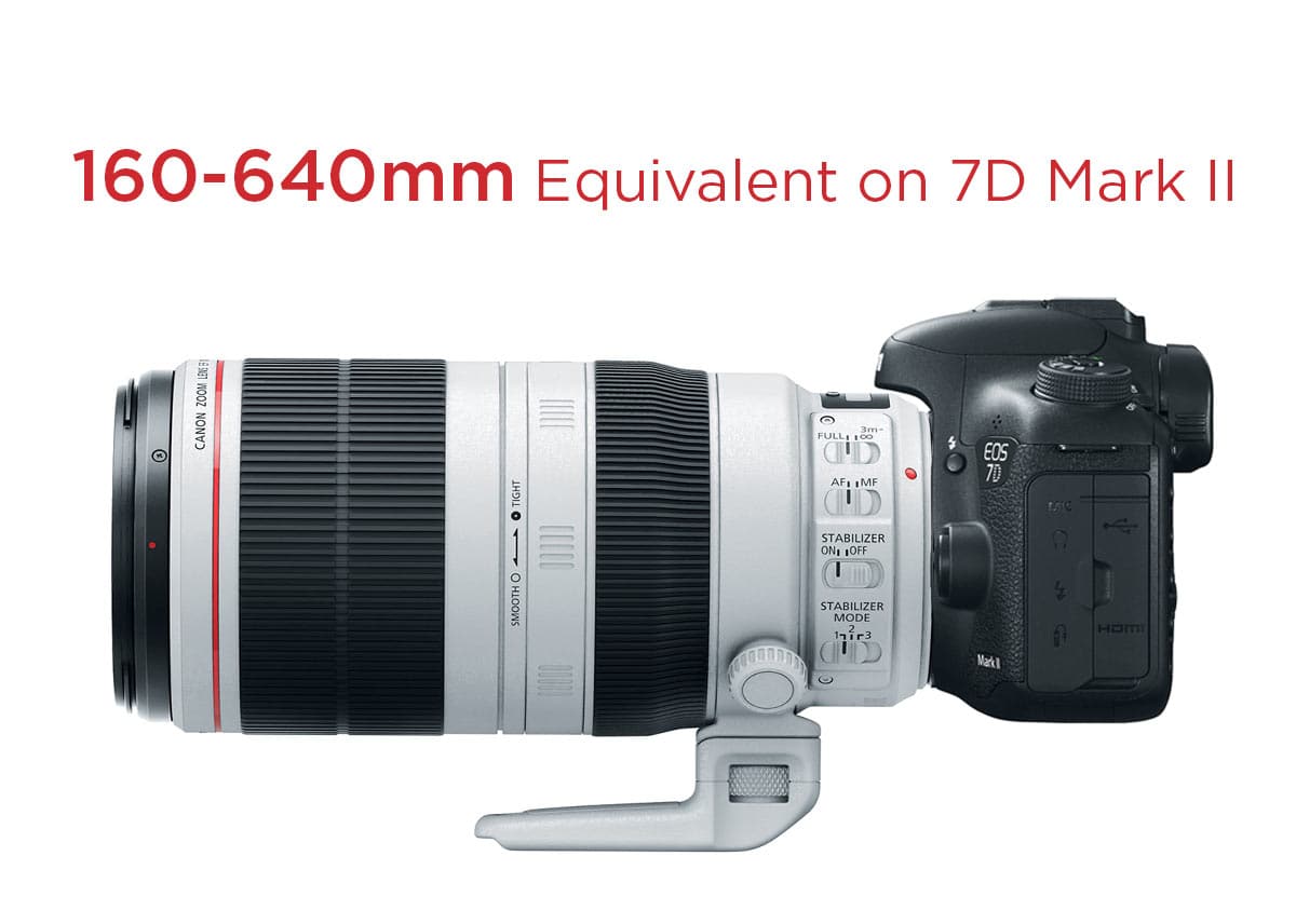 Canon 7D Mark II Canon 100 400mm L IS II Perfect Match Canon 7D Mark II Canon 100 400mm L IS II Perfect Match
