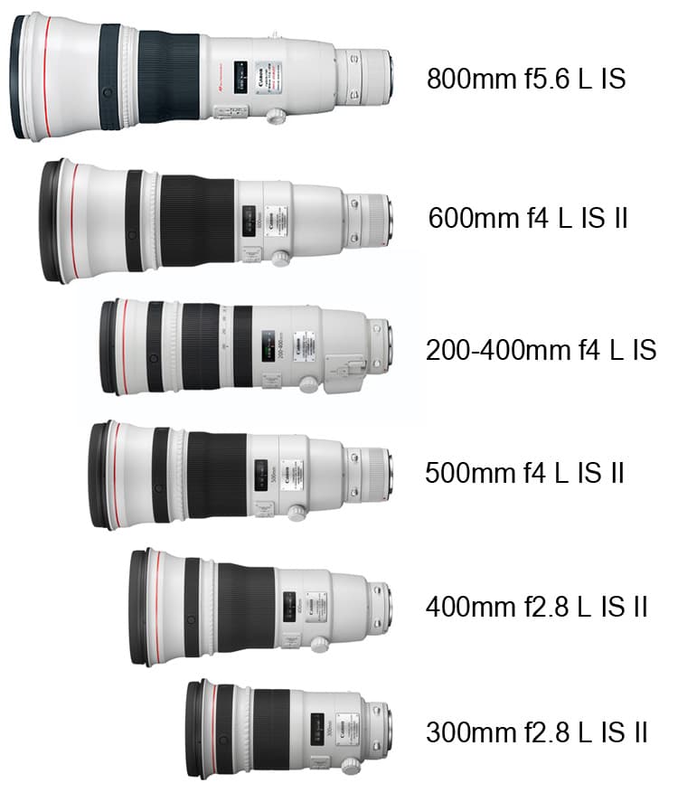 Canon s New Super Tele Lens Size Comparison Canon s New Super Tele Lens Size Comparison