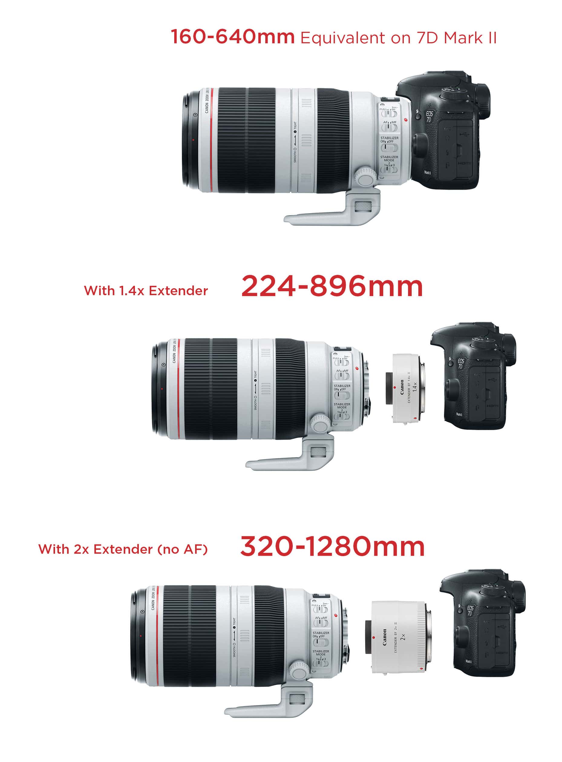 Canon 100 400 II With 1 4x Extender You Won t Believe This 