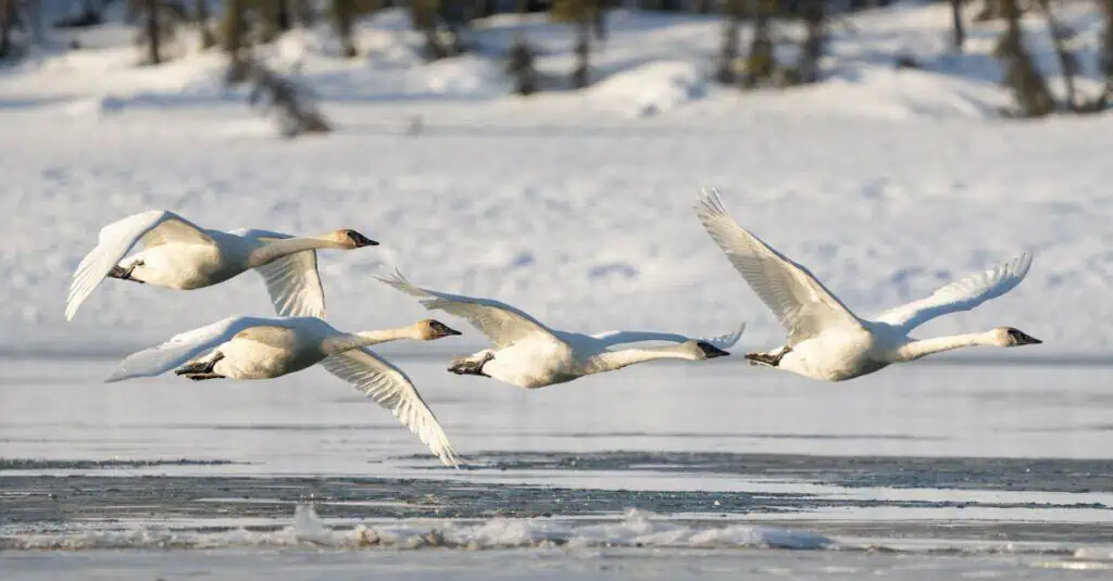 Blog - Dan Carr Photography